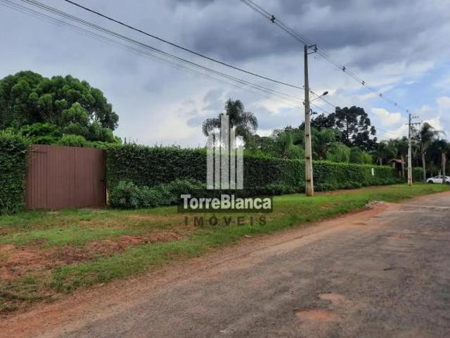 Imoveis no Jardim Carvalho