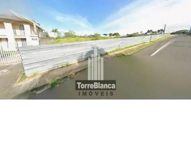 Imoveis no Jardim Carvalho