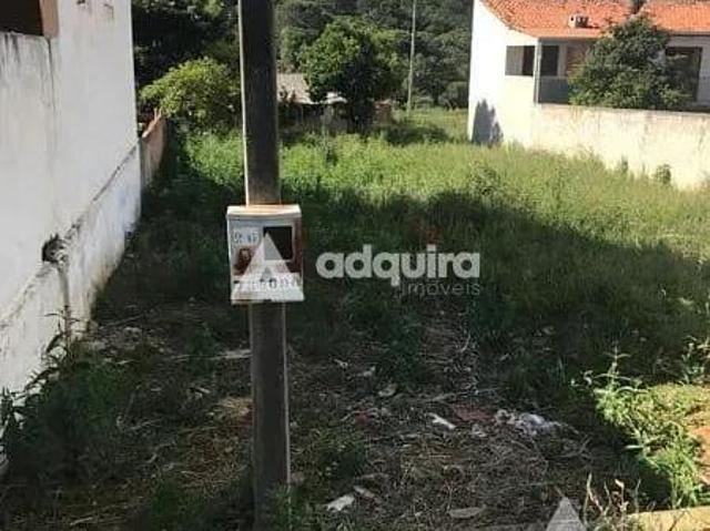 Imoveis no Jardim Carvalho