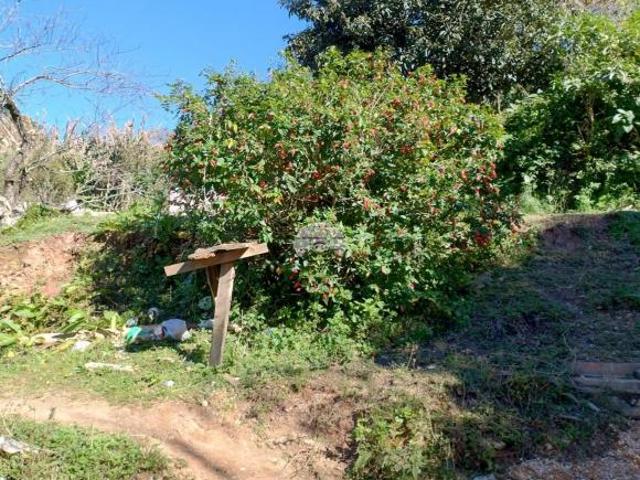 Imoveis no Jardim das Oliveiras