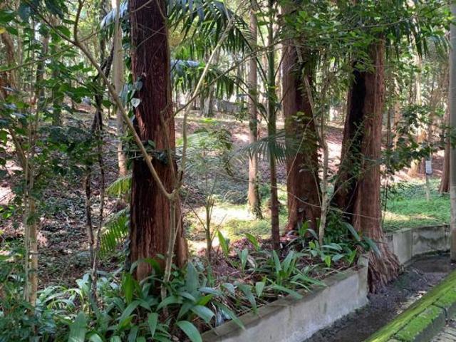 Imoveis no Jardim dos Estados