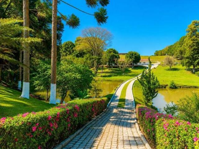 Imoveis no Jardim Florestal