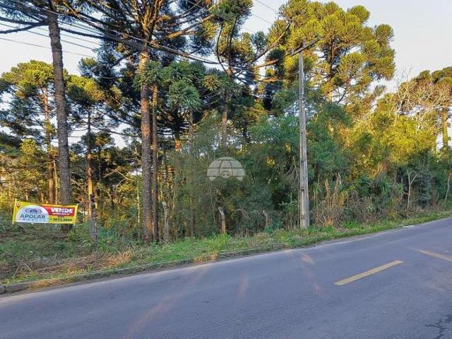Imoveis no Jardim Marize
