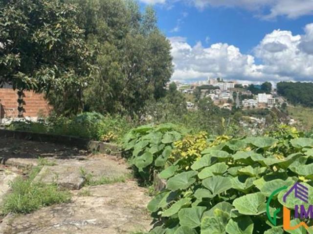 Imoveis no Jardim Novo Mundo