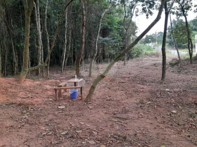 Imoveis no Jardim Peri