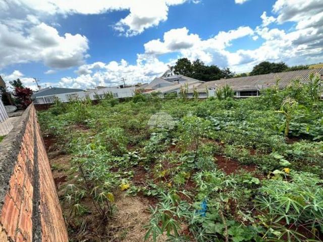Imoveis no Jardim Primavera
