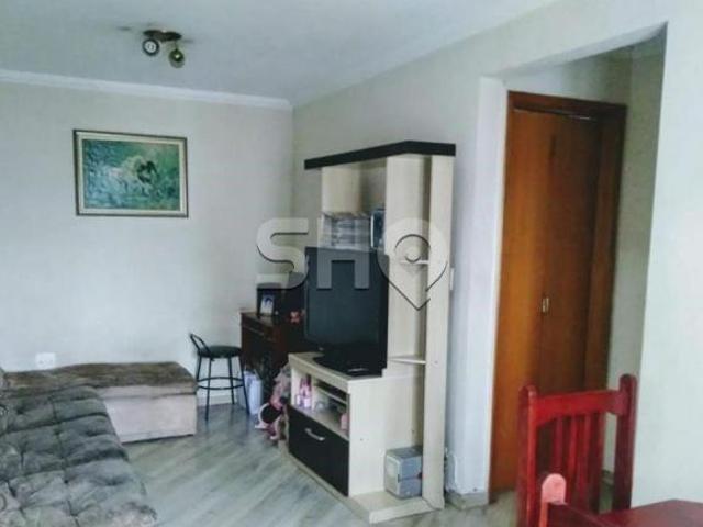 Imoveis no Jardim São Paulo Zona Norte