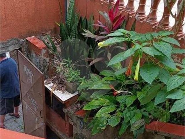 Imoveis no Jardim São Paulo Zona Norte