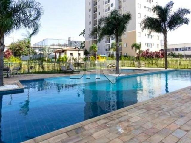 Imoveis no Lapa de Baixo