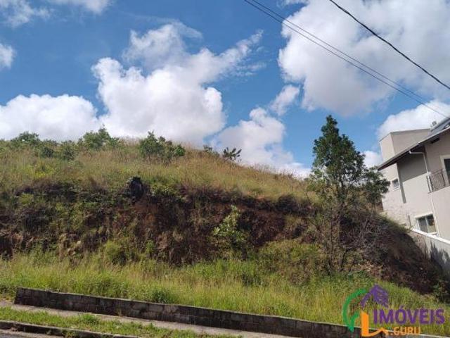 Imoveis no Parque Vivaldi Leite Ribeiro