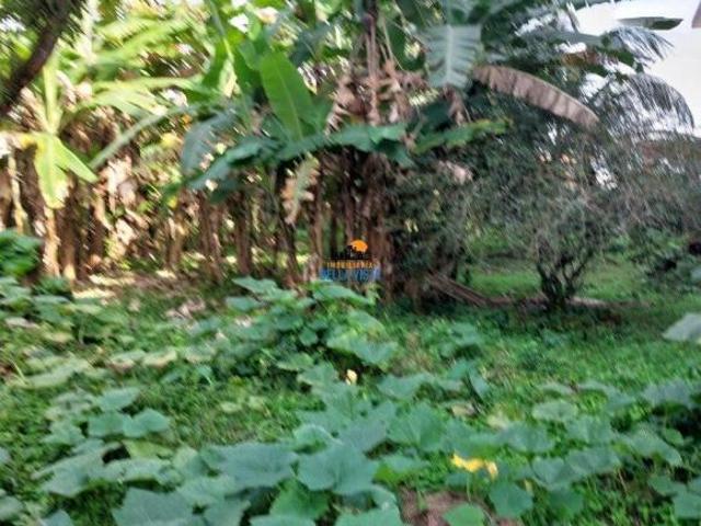 Imoveis no Parque Bitaru