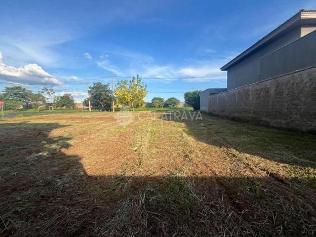 Imoveis no Parque Residencial Damha VI
