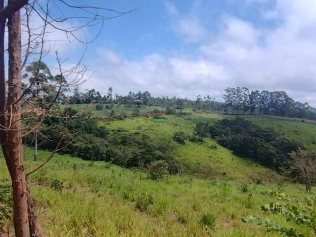 Imoveis no Rancho Novo