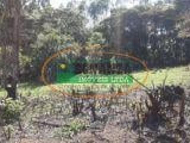 Imoveis no Rancho Novo