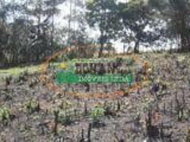 Imoveis no Rancho Novo