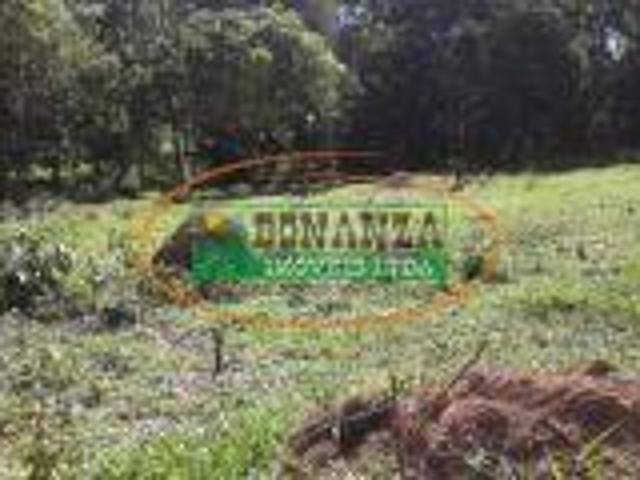 Imoveis no Rancho Novo