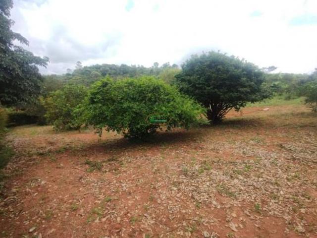 Imoveis no Rancho Novo