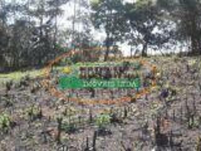 Imoveis no Rancho Novo