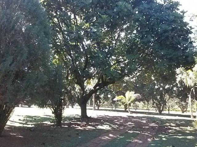 Imoveis no Residencial Moenda