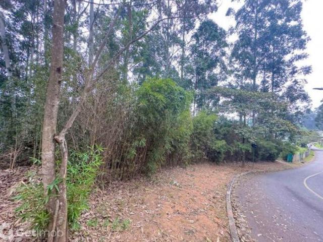 Imoveis no Residencial Tamboré