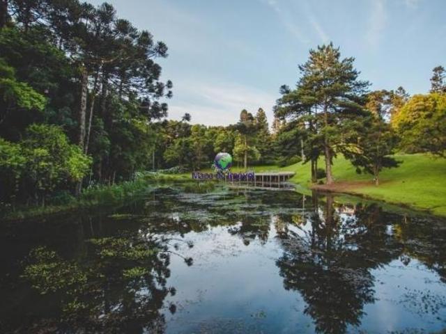 Imoveis no Vale do Bosque