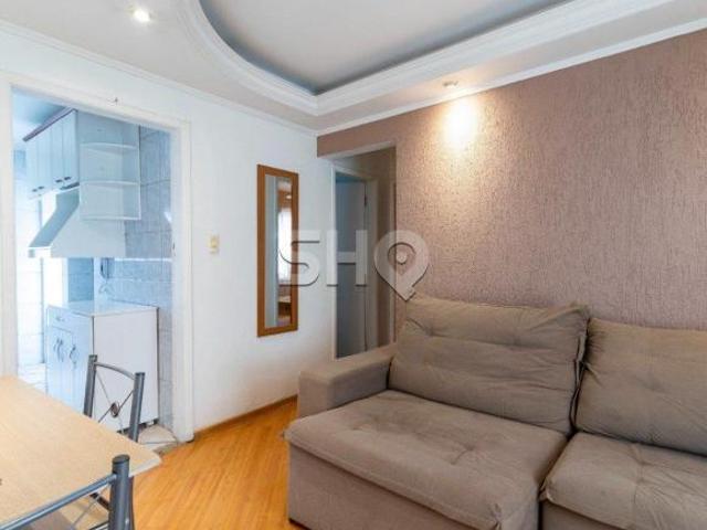 Imoveis no Vila Pompéia