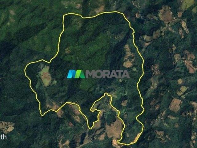 Imoveis em Mariana