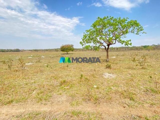 Imoveis em Martinho Campos