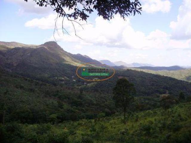 Imoveis em Moeda