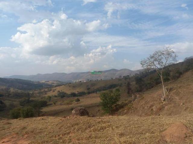 Imoveis em Moeda