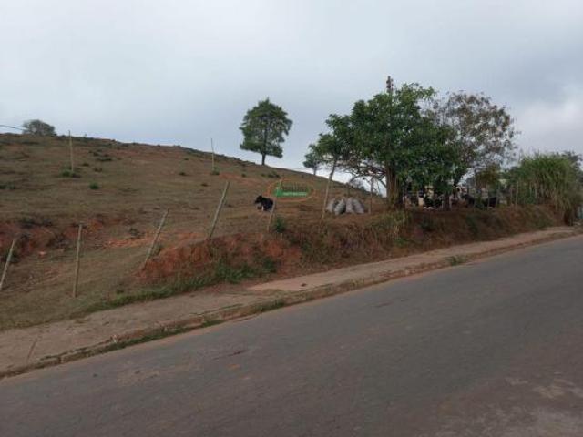 Imoveis em Moeda