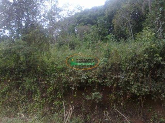 Imoveis em Moeda