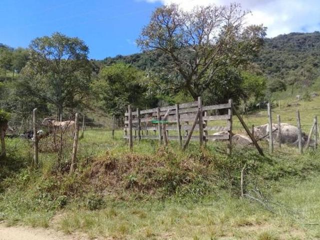 Imoveis em Moeda