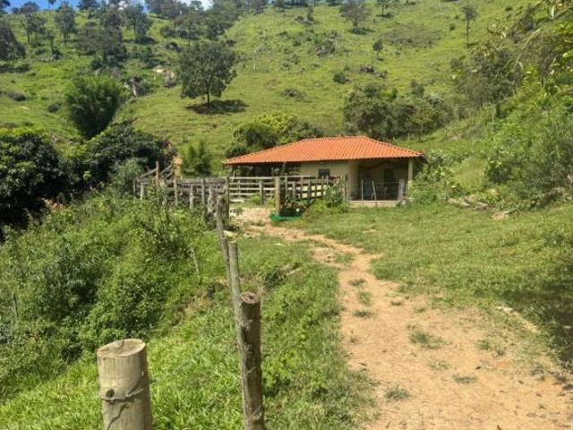 Imoveis em Moeda