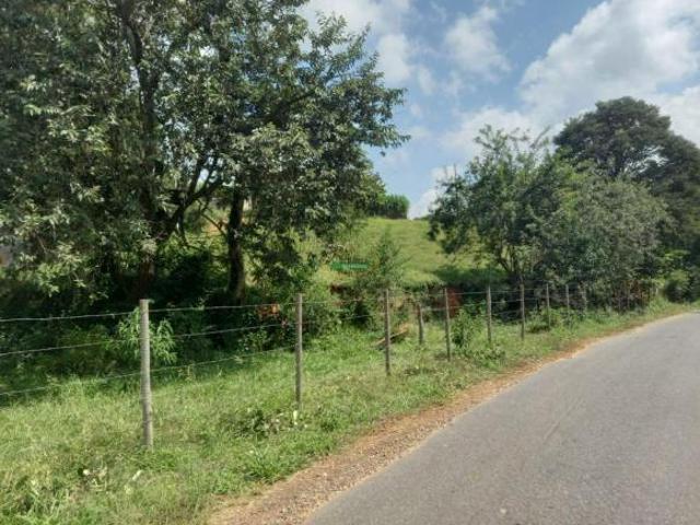 Imoveis em Moeda