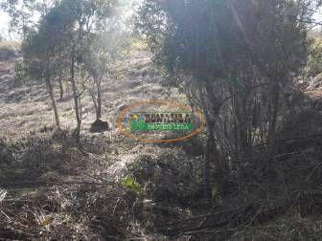 Imoveis em Monteville