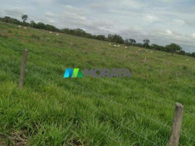 Imoveis em Morro da Garça
