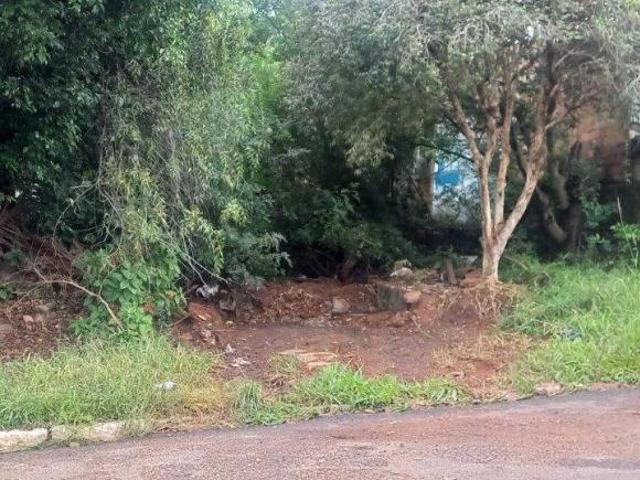 Imoveis em Nossa Senhora das Graças