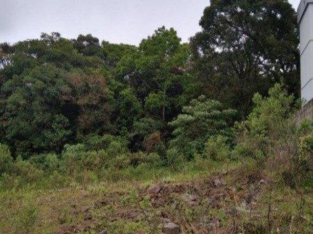 Imoveis em Nossa Senhora das Graças