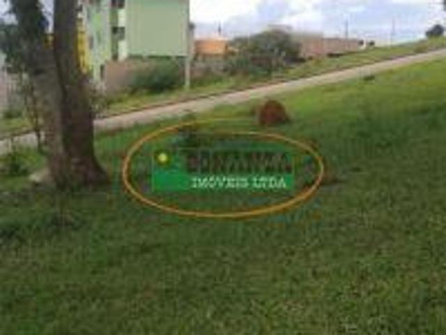 Imoveis em Novo Horizonte