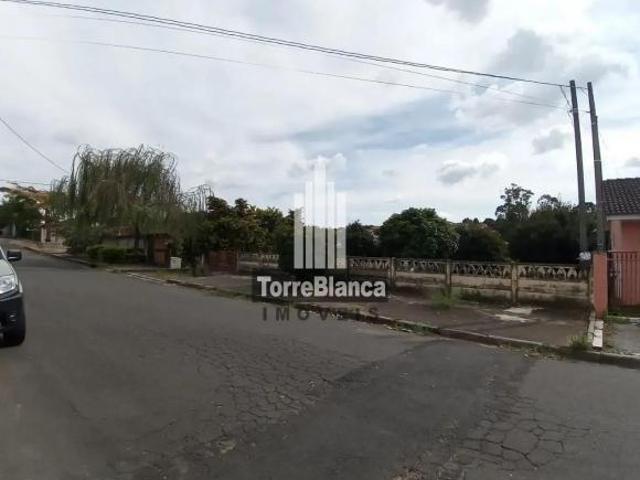Imoveis em Nova Rússia