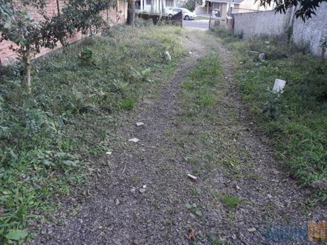 Imoveis em Olaria