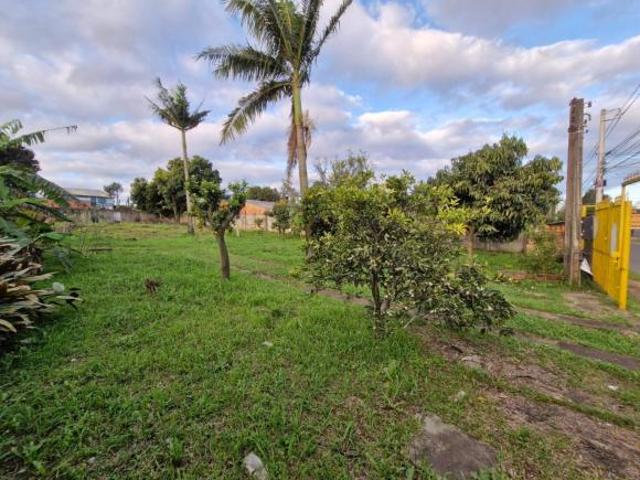 Imoveis em Olaria