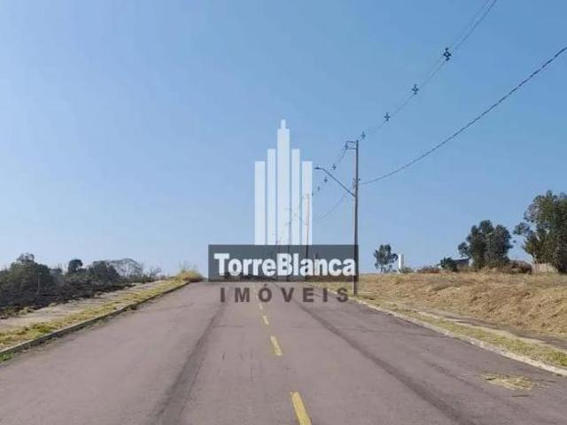 Imoveis em Olarias