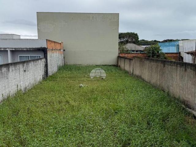 Imoveis em Albatroz