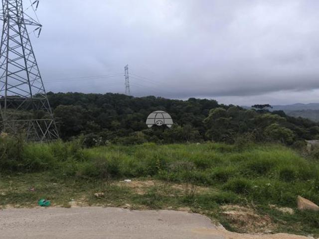 Imoveis em Almirante Tamandaré