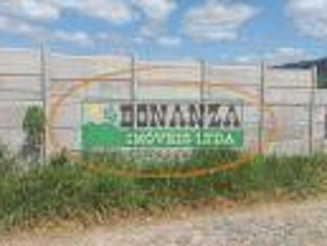 Imoveis em Amaro Ribeiro