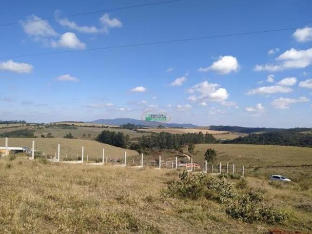 Imoveis em Amaro Ribeiro