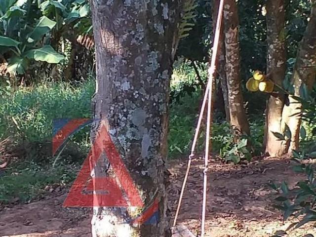 Imoveis em Araçariguama