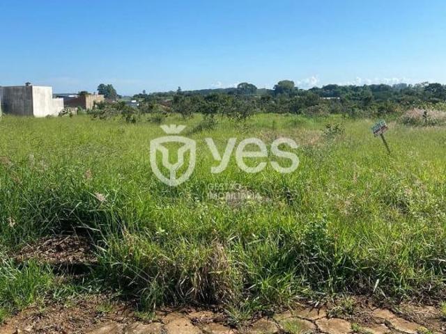 Imoveis em Araxá